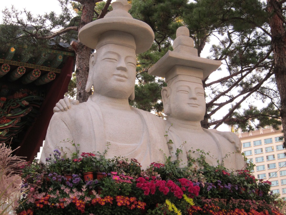 The Buddha Brothers – Bodhi-Bowl