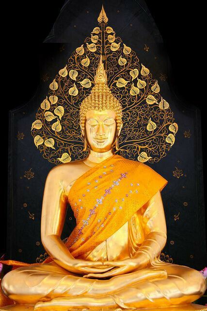 Meditation: Reflection on the body – Bodhi-Bowl